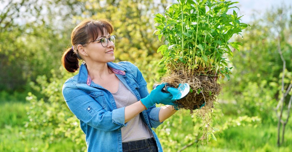 Soil Compaction - Landscape For Life